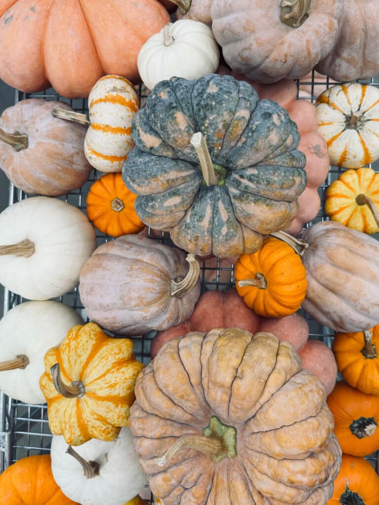 September Favorites. - How Sweet Eats